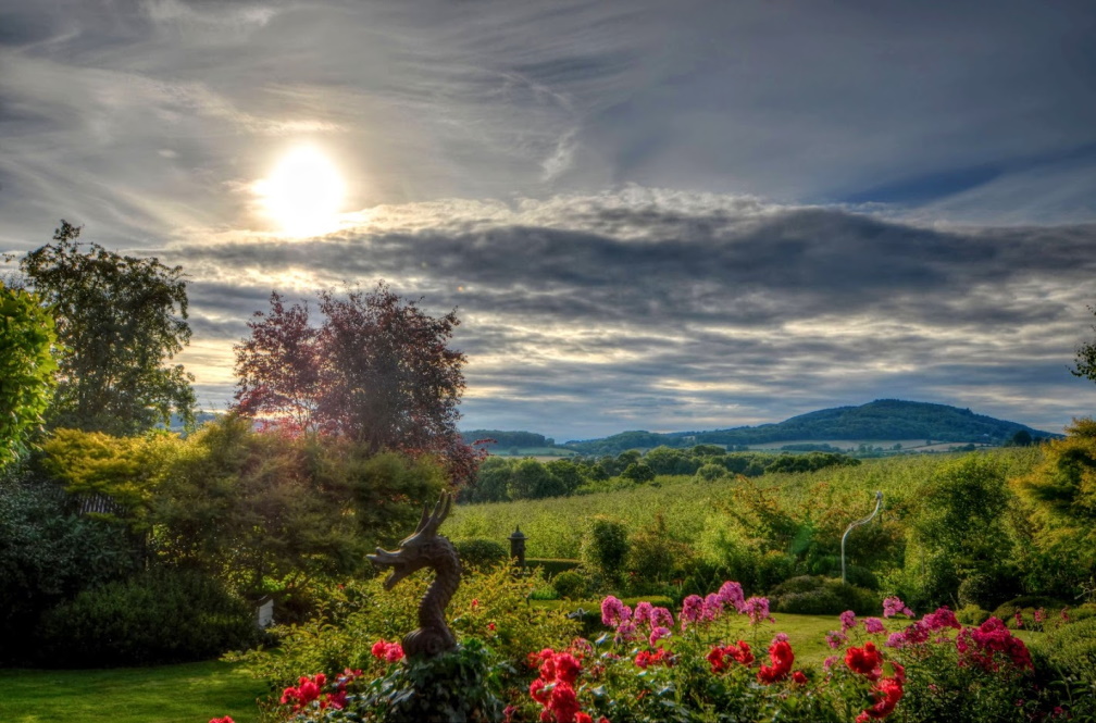 Fabulous gardens open to visitors as part of National Gardens Scheme ...