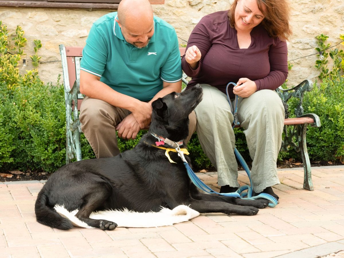 Bear is happy to be in his new home - The Evesham Observer