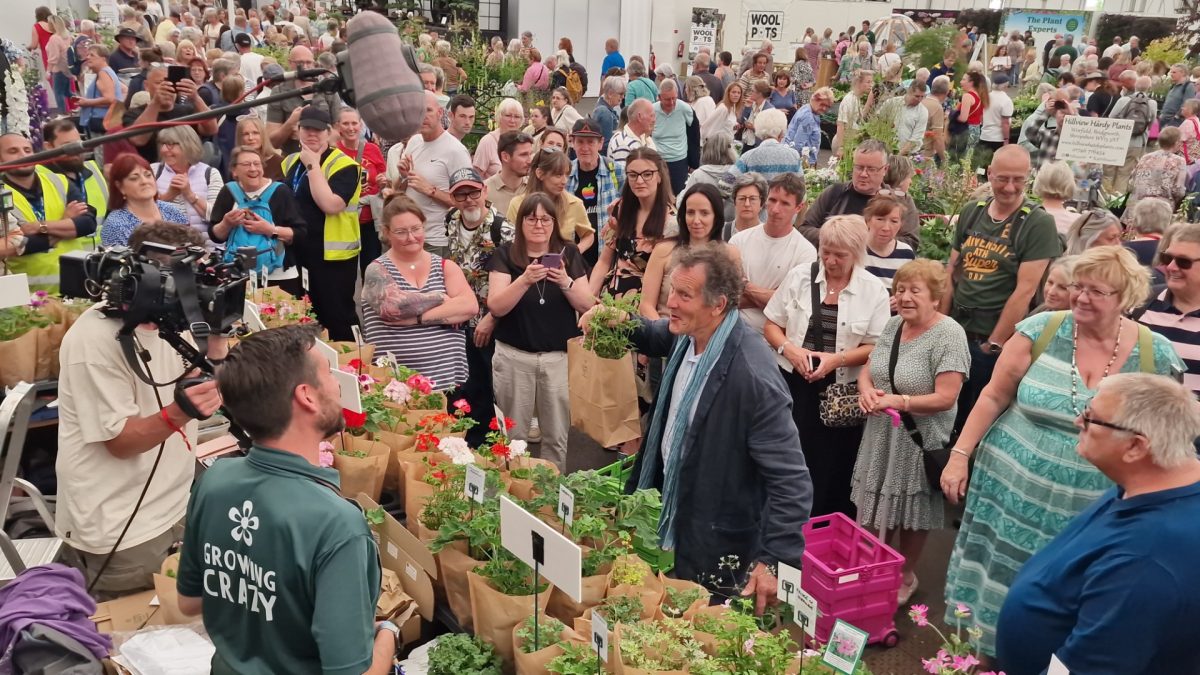Evesham flower grower wins gold medal at BBC Gardeners' World Live ...