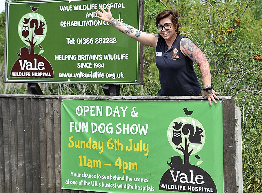 Animal magic awaits this weekend at wildlife hospital's open day - The ...