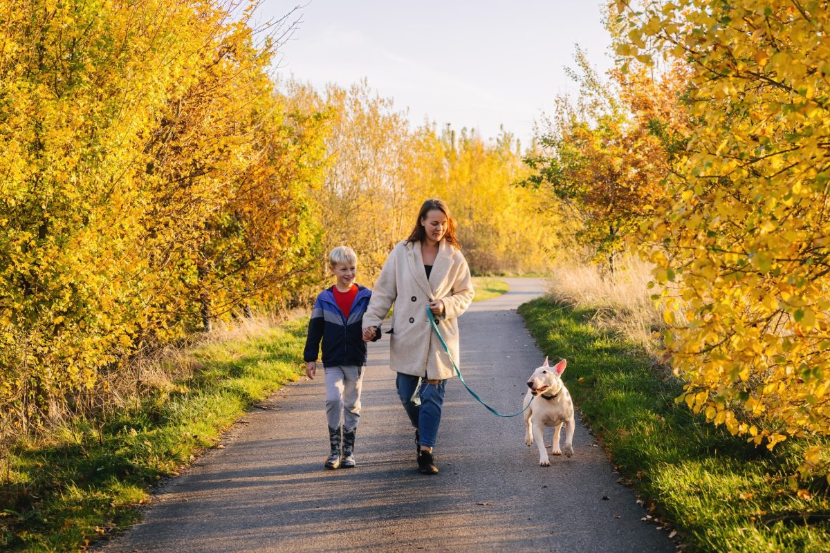 Take on the 62-mile 'Dogtober' challenge to support Dogs Trust Evesham ...