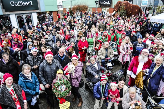 Christmas dog parade in Evesham attracts hundreds for festive fun - The ...