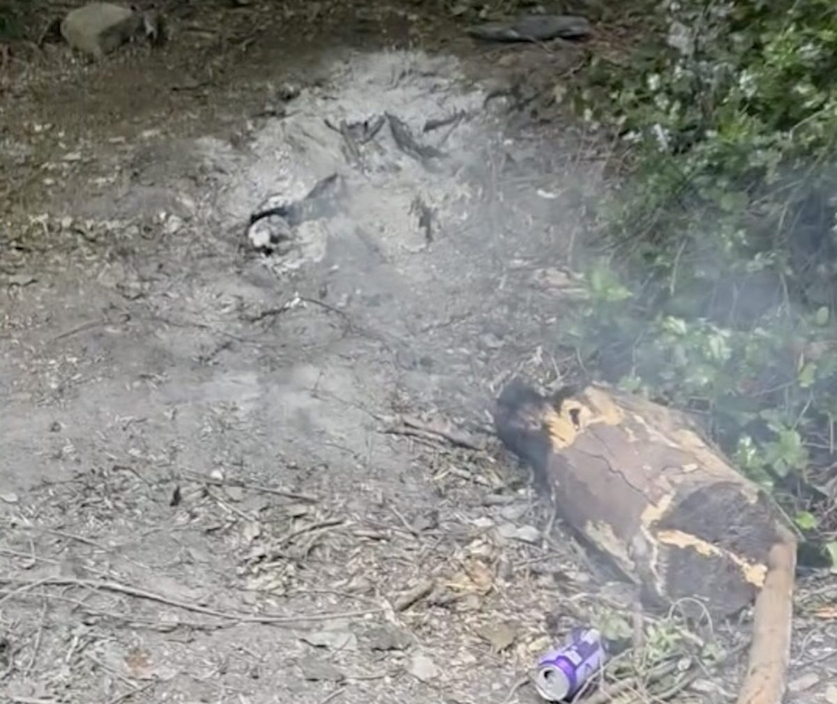 Fire Safety Concerns Raised After Reports of Fires at Evesham Nature ...